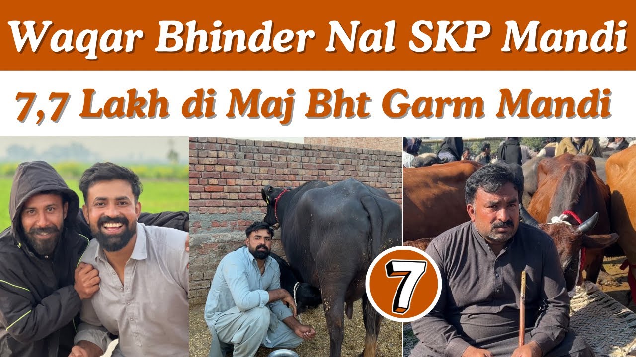 Waqar Bhinder Nal Shaikhupura Mandi Gaye 7,7 Lakh di Ak Maj 😳😳 - YouTube