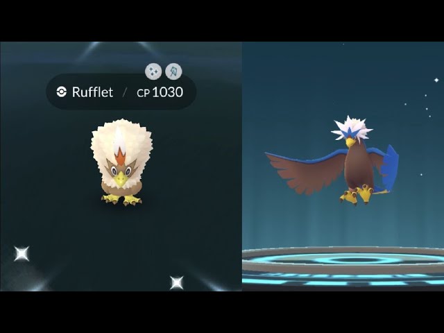 Rufflet Evolution Chart