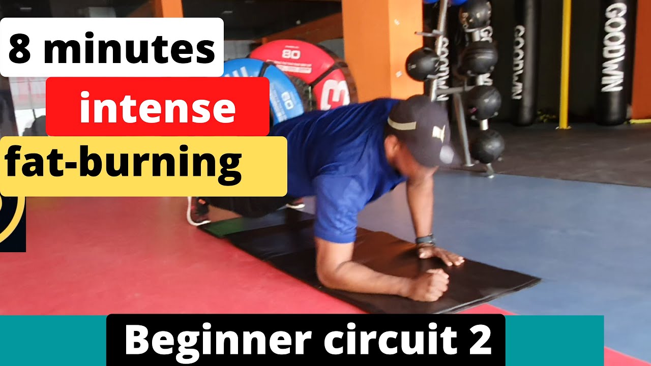 8 minutes intense fat burning beginner circuit 2 #science behind the ...