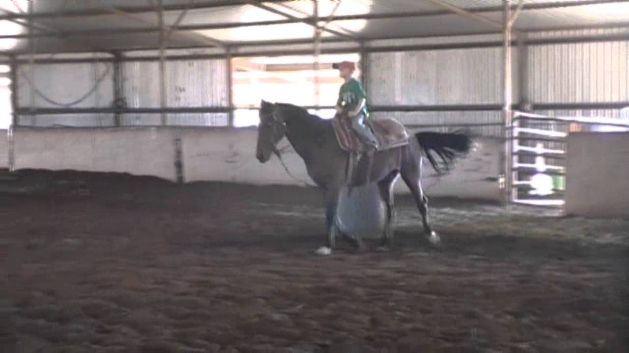 Wee Man - Kid's Barrel Horse - YouTube
