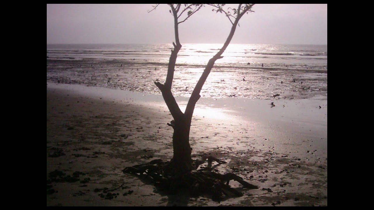 Golar har khule ne BY DURGA ROY bhawaiya - YouTube