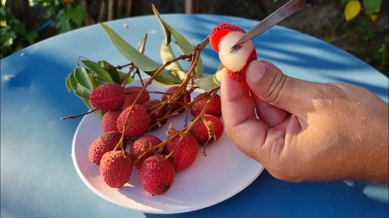 Личи (Litchi chinensis), един от най-популярните и сладки плодове в ...