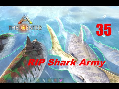 RIP shark Army - YouTube