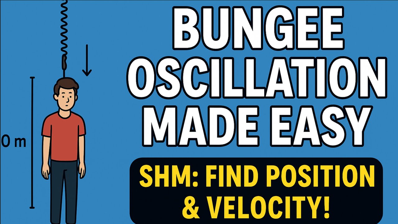 Physics SHM Problem | Bungee Oscillations | Vertical Oscillations ...