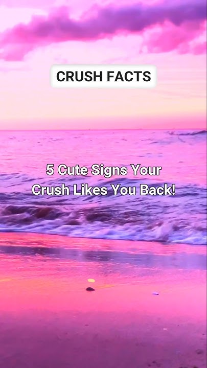 5 Cute Signs Your Crush Likes You Back! Crush Facts #shorts #psychologyfacts #subscribe - YouTube