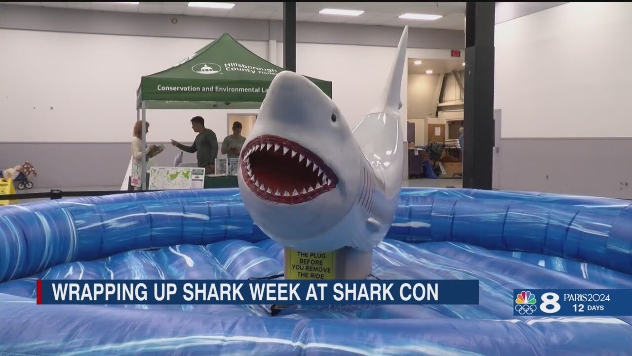 Tail end of Shark Week celebrated at Shark Con - YouTube