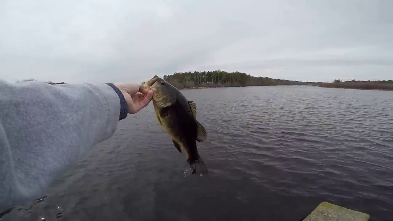 Winter Bass Fishing Long Island, NY - Long Island Freshwater Fishing ...