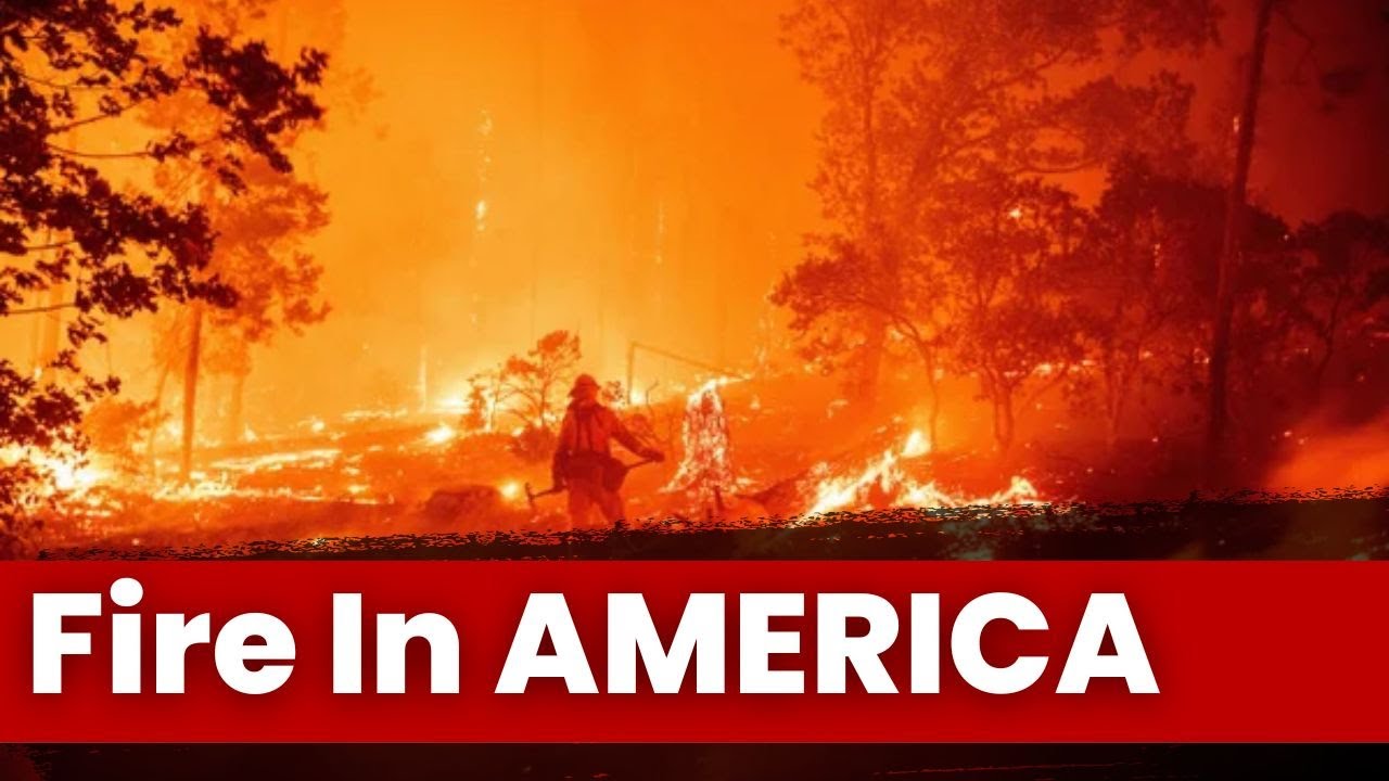 America on Fire: Devastating Wildfires, Causes, and Urgent Solutions ...