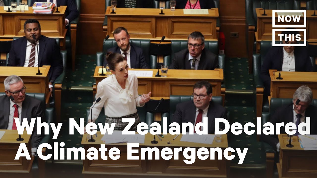 New Zealand Declares Climate Emergency | NowThis - YouTube