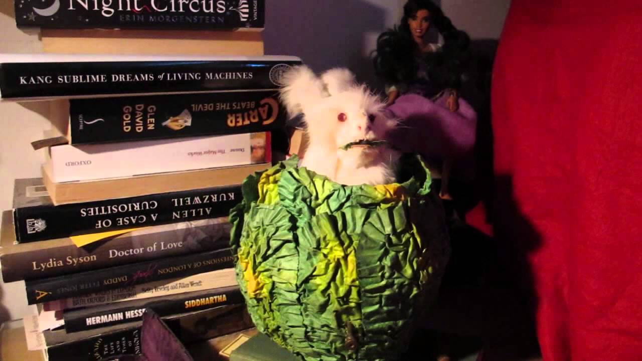 Automaton Rabbit - Bright Eyes - YouTube
