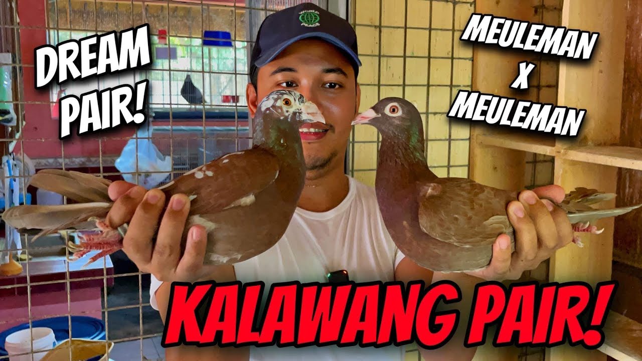 MAY KAPARES NA SI KALAWANG! 60 KYAW ANG ISA! 😱 - YouTube