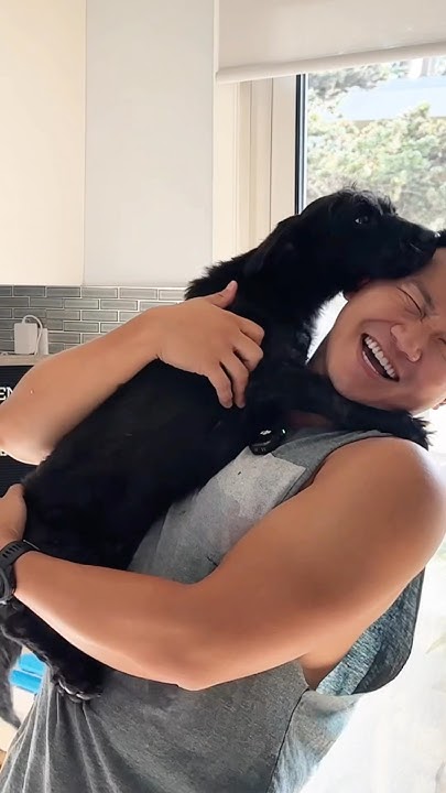 Second Pet Portrait: Luca Part 1 - YouTube