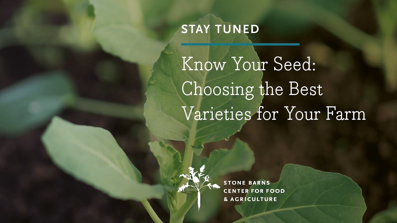 Know Your Seed: Choosing the Best Varieties for Your Farm - 2018 Young ...