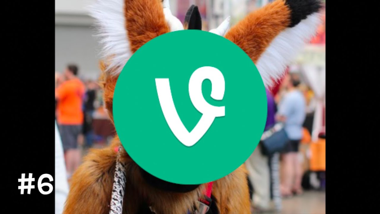 Furry Vine Compilation #6 50+ Vines - YouTube