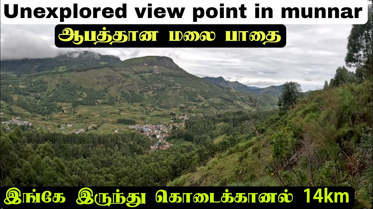 Unexplored view point in munnar|ஆபத்தான மலை பாதை|இங்கிருந்து ...