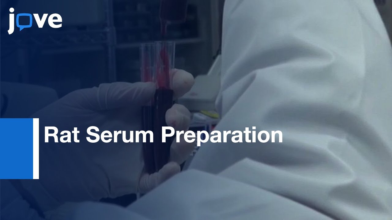 Preparing Rat Serum Suitable For Mammalian Whole Embryo Culture - YouTube