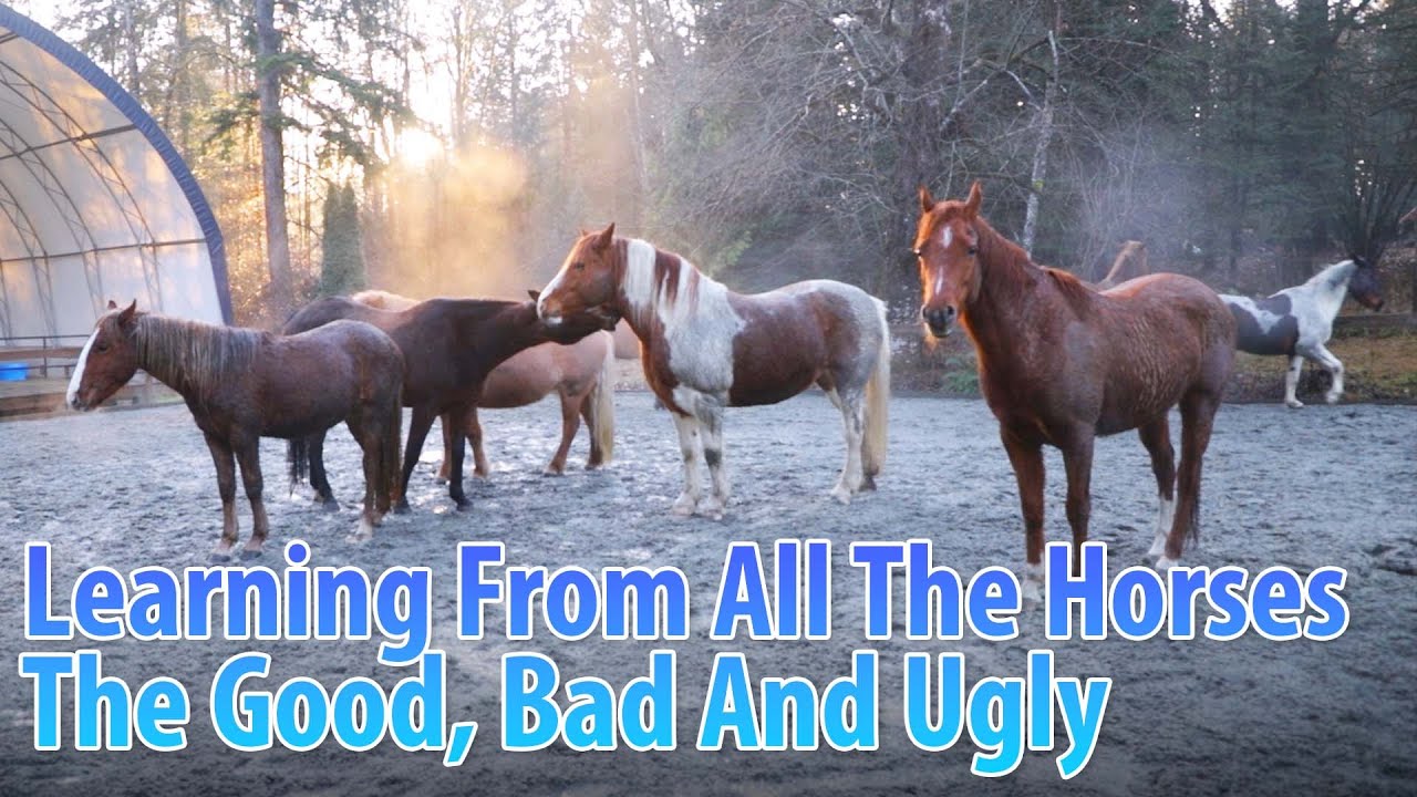 A Proper Full Horsey Playtime With Everybody Today - YouTube