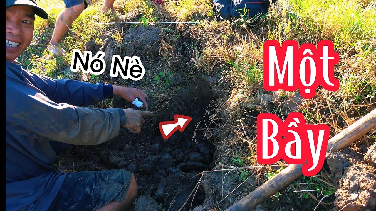 Một Cái Hang 3 Con Rắn Nó Nằm Một Đống | Mười Thương SB - YouTube