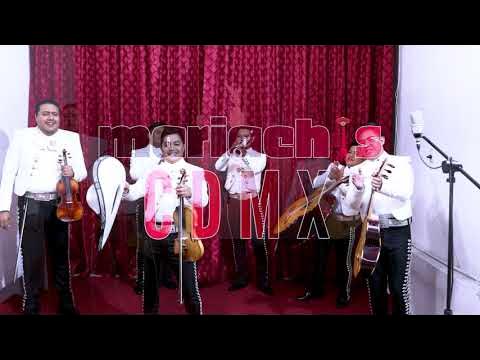Las mañanitas con mariachi - Mariachis de la Ciudad de México CDMX ...