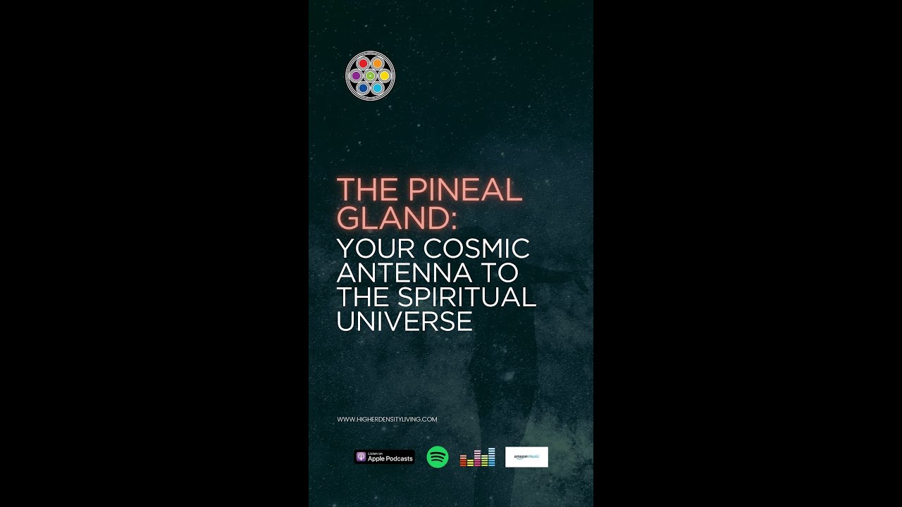 The Pineal Gland: Your Cosmic Antenna to the Spiritual Universe - YouTube