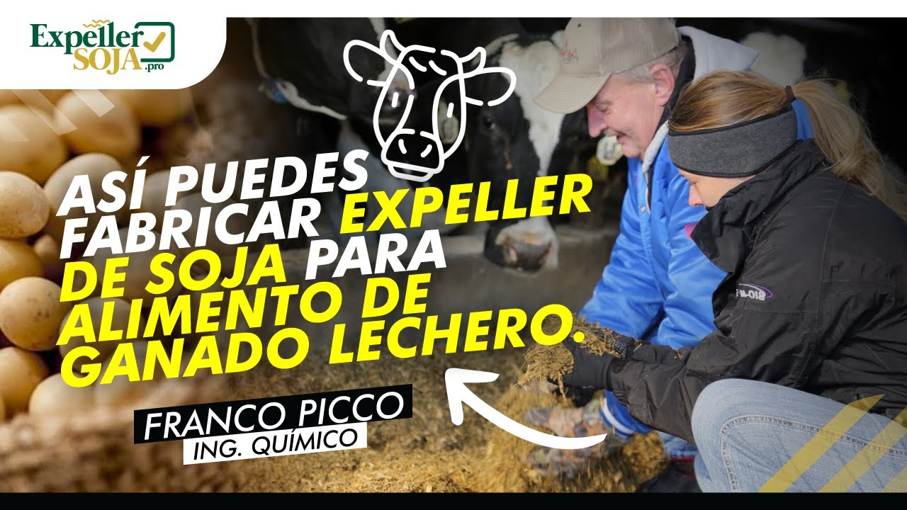ᐈ Fabricar Concentrado, Alimento o Pienso para Ganado o Vacas Lecheras 【 Expeller y Aceite Soja ...