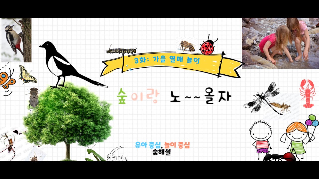 가을 열매 놀이i 유아 초등 놀이 열매 다람쥐 어린이 가을 솔방울 도토리 Youtube