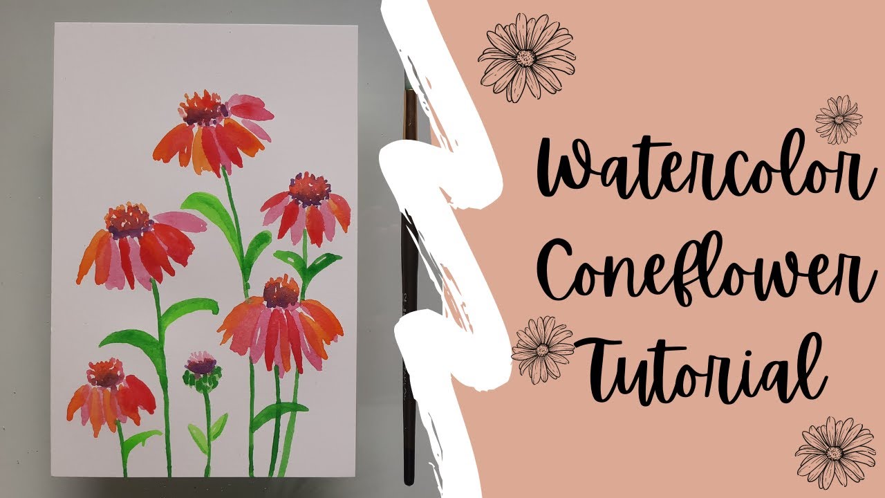 Easy Watercolor Flower | Coneflower Painting | Watercolor Painting Easy ...