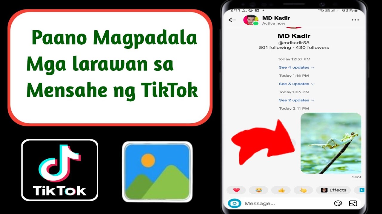 Paano Magpadala ng Mga Larawan/Larawan sa TikTok Messages (2025 ...