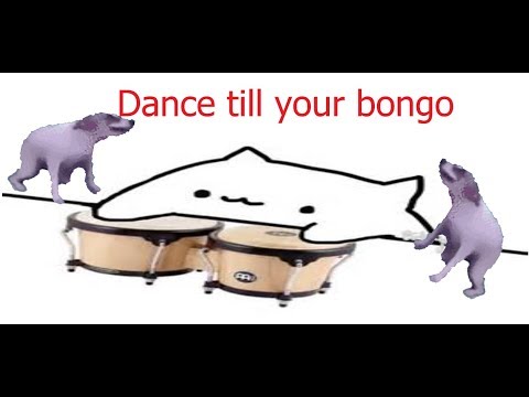 Bongo Cat - Dance till your dead