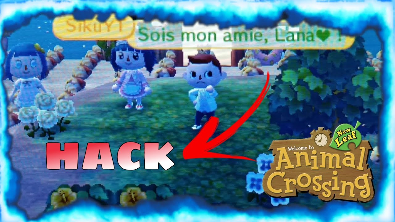 COMMENT AJOUTER DES PERSONNES SUR L'ÎLE HACK ACNL - YouTube