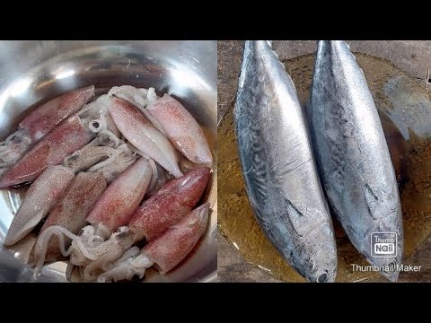 SQUID AND TOLINGAN RECIPE with hungry man - YouTube