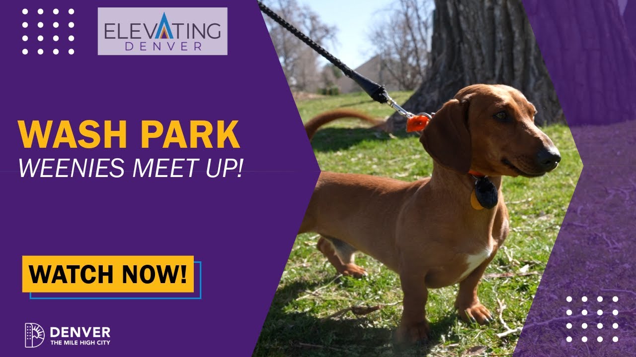 Wash Park Weenies Meet Up! - YouTube
