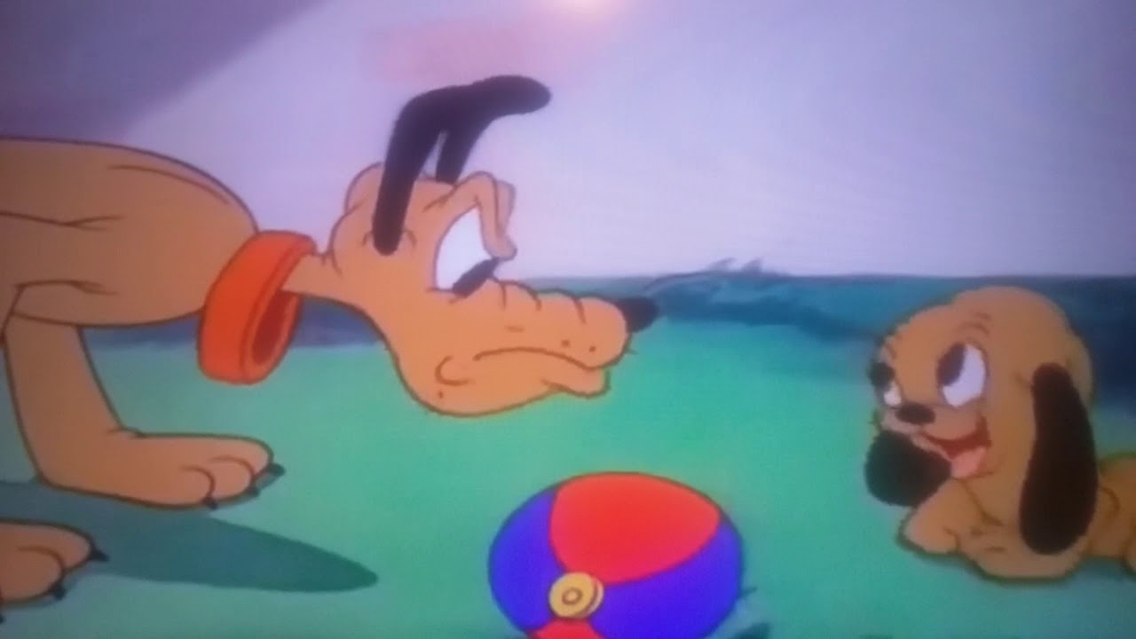 Miky y sus 2perritos - YouTube