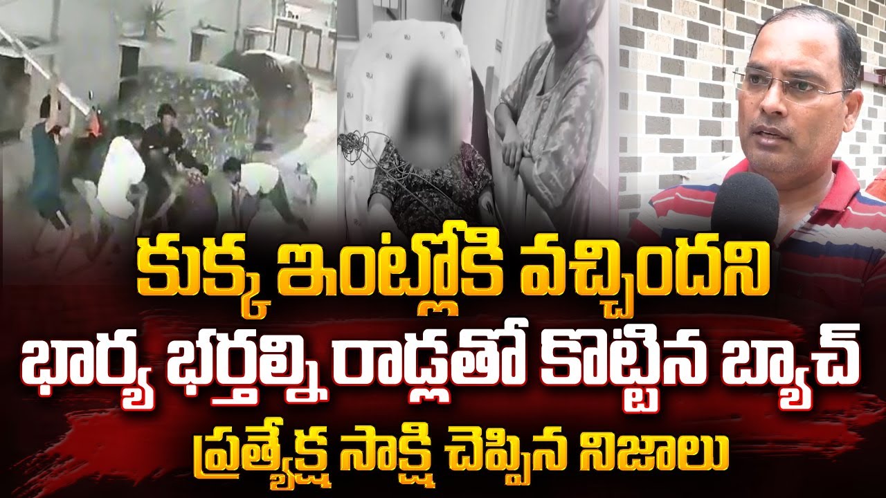 Rahmath Nagar Dog Owner News | Rahmath Nagar News Update | SumanTV ...