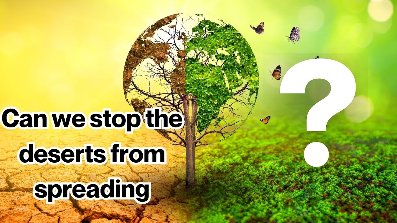 Can we stop the deserts from spreading? @DWPlanetA - YouTube