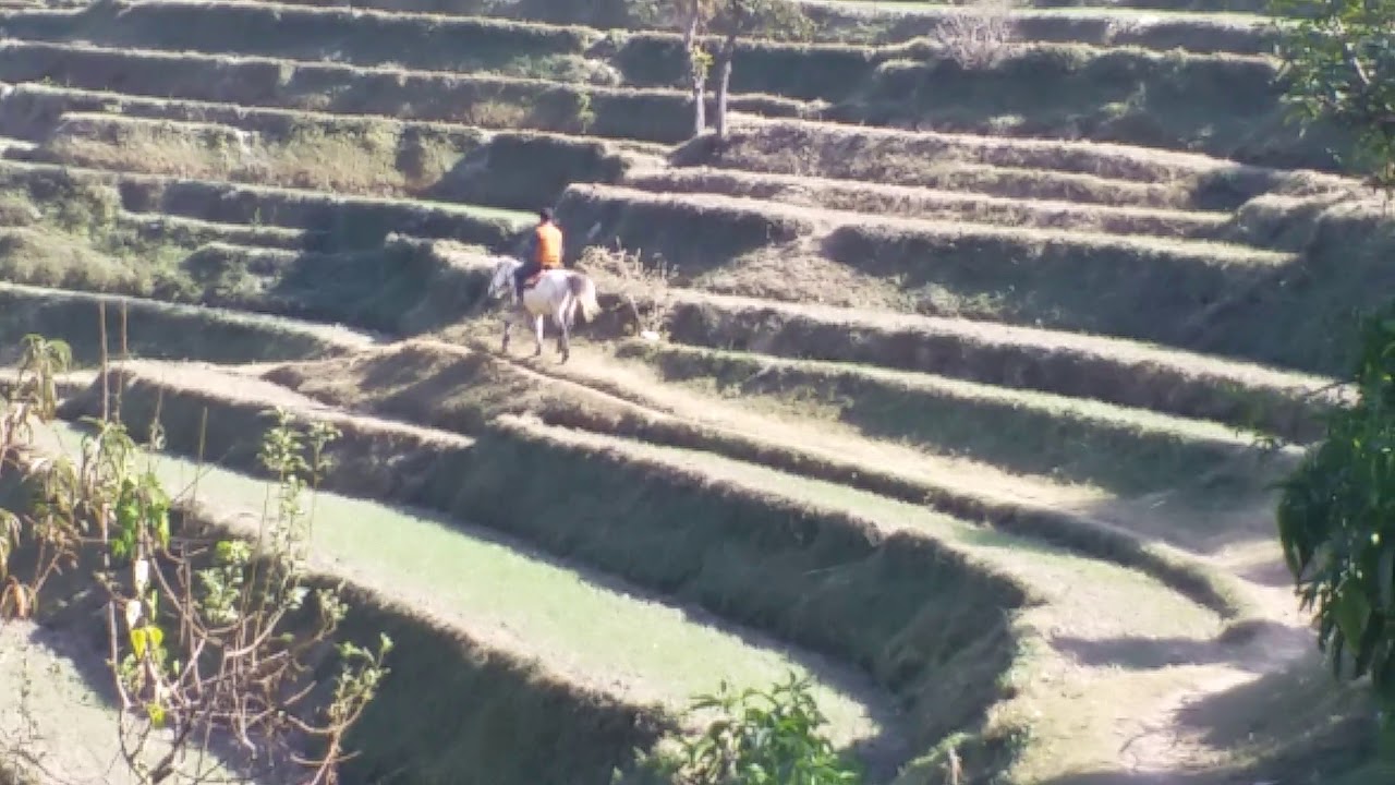 Lokendra Luhar - YouTube