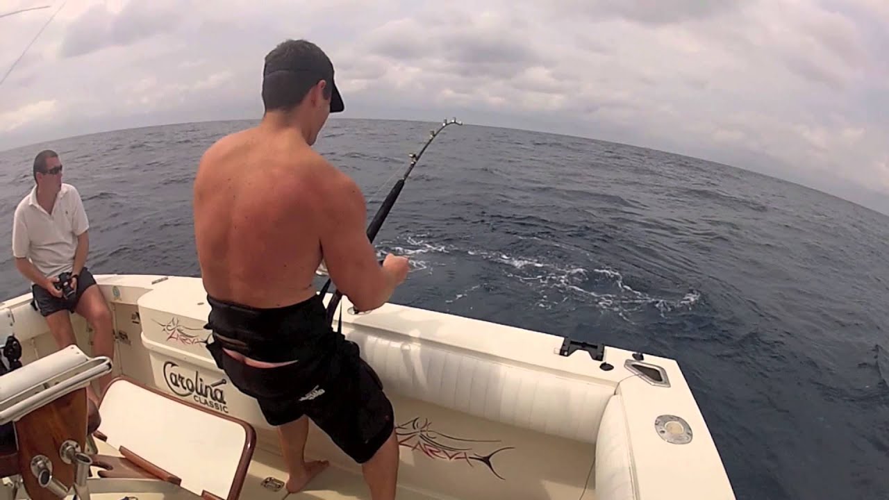 Blue Marlin & Mako Shark Larva Lures 17th November 2012 Gold Coast ...