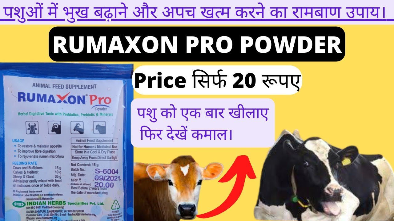 Rumaxon pro powder | Indigestion treatment in animal | पशु की भूख ...