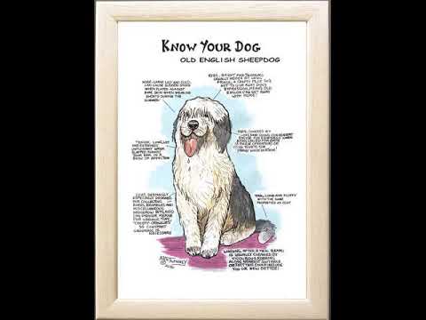 Dick Twinney's `KNOW YOUR DOG` Canine Cartoons. - YouTube