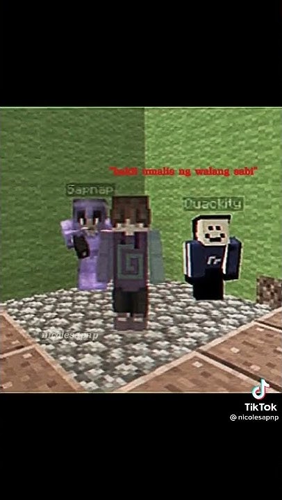 #dsmp #karlnapity #dnf :( sad - YouTube