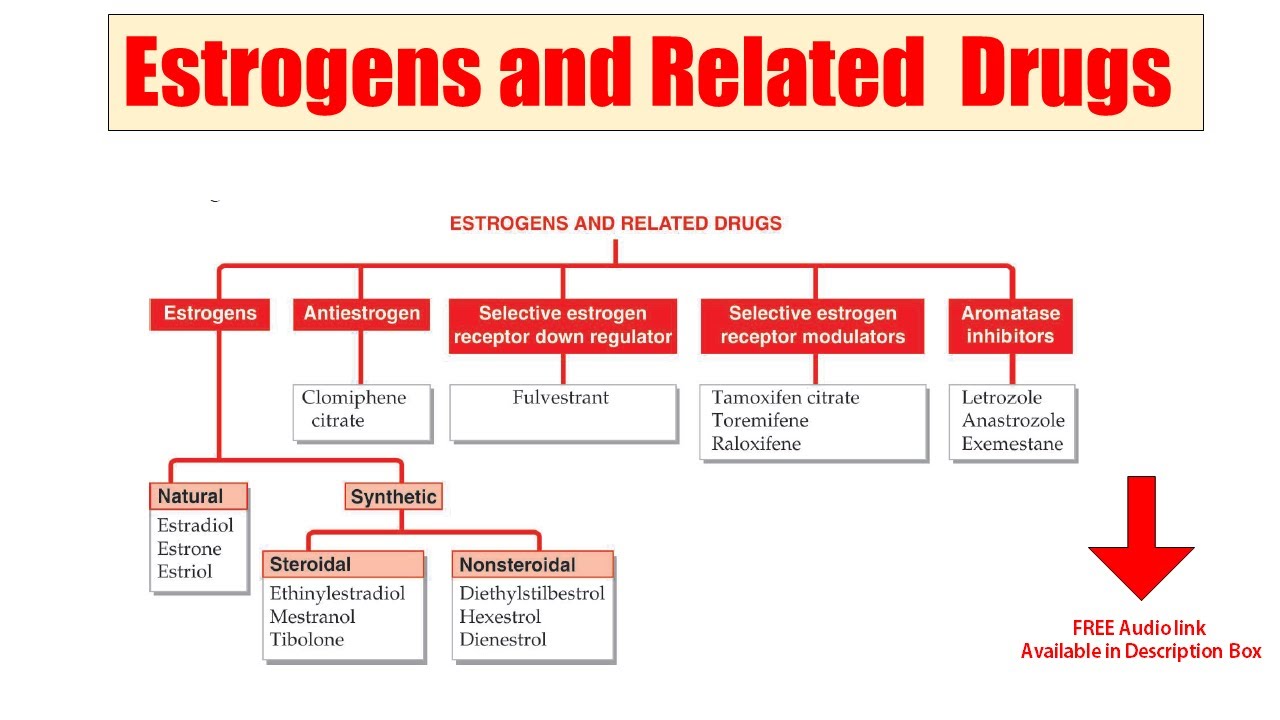 (23) Estrogen and Related Drugs | AUDIO Pharmacological Classification ...