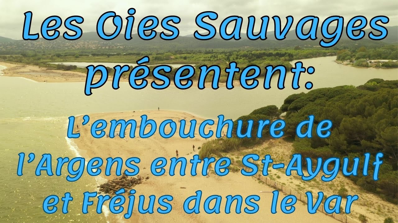 St Aygulf, l'embouchure du fleuve Argens dans le Var (83) - YouTube
