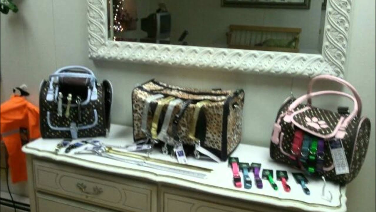 Absolutely Pets Walden NY - YouTube