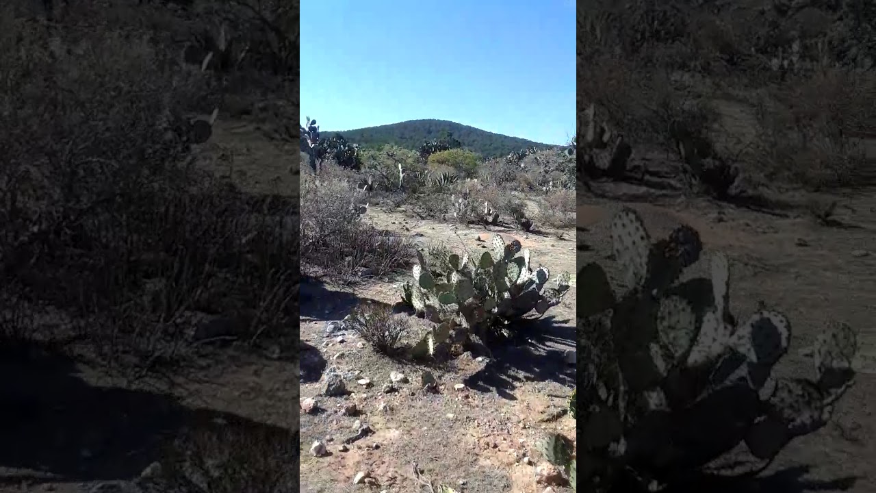 fabrica de melchor guanajuato - YouTube