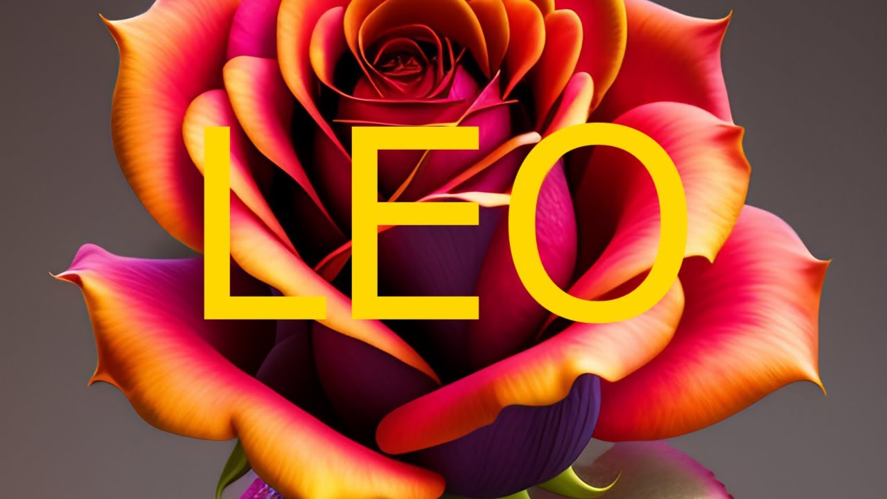 LEO - BLOOM WHERE YOU ARE PLANTED! FEBRUARY 2024 - YouTube