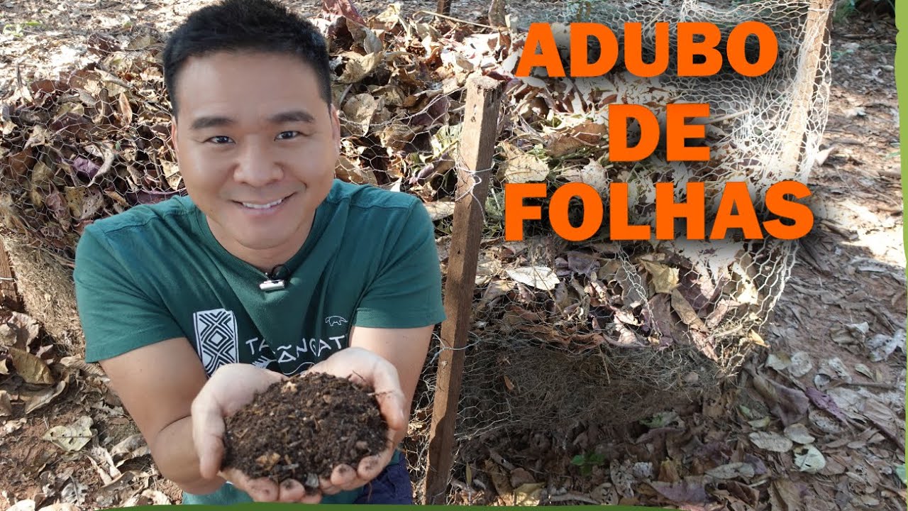 Compostagem de folhas - Aprenda a fazer - YouTube