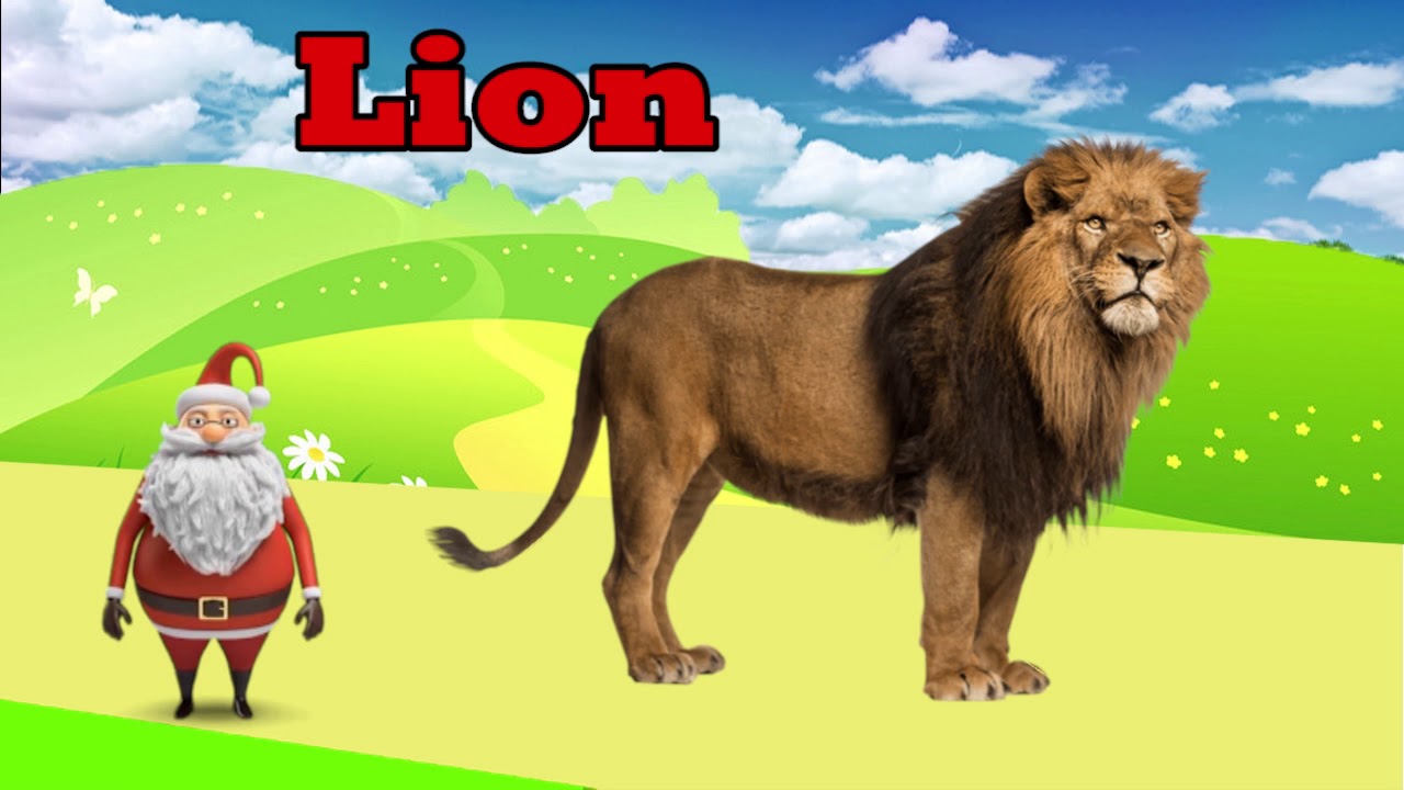 Die Tiere auf deutsch lernen - tiere farben lernen deutsch | BeBi TV ...