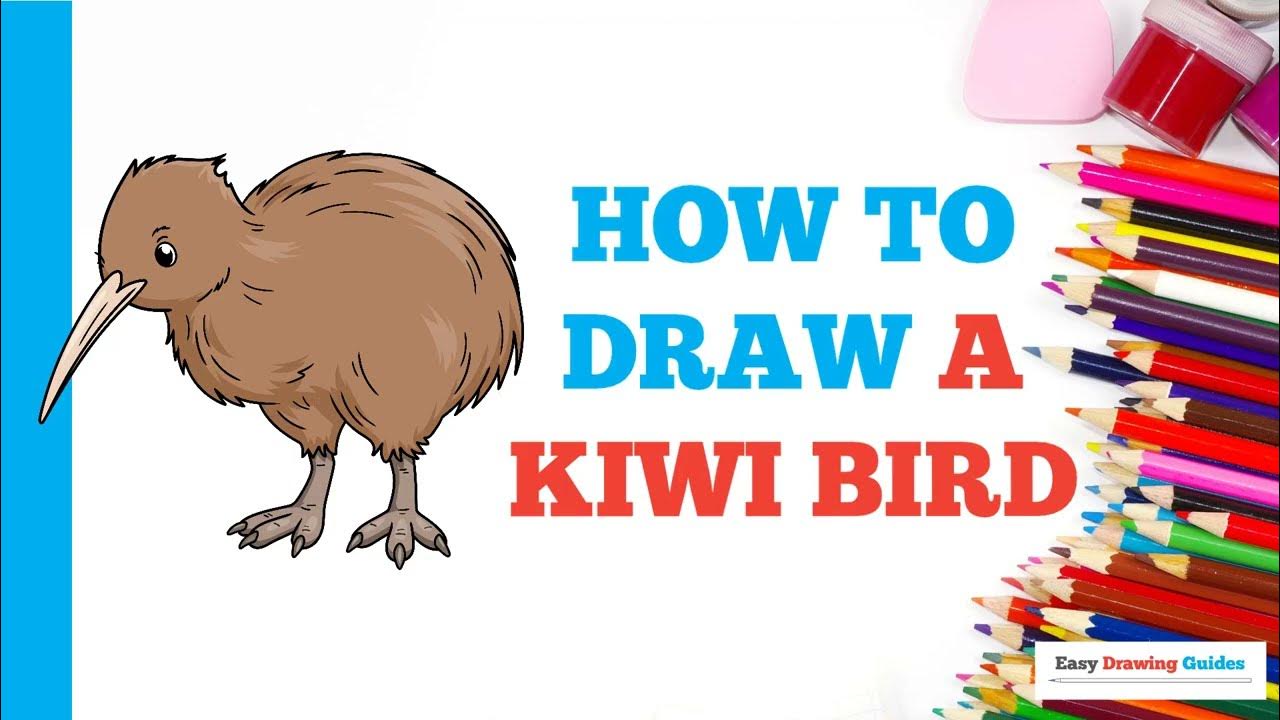 How to Draw a Kiwi Bird: Easy Step by Step Drawing Tutorial for ...