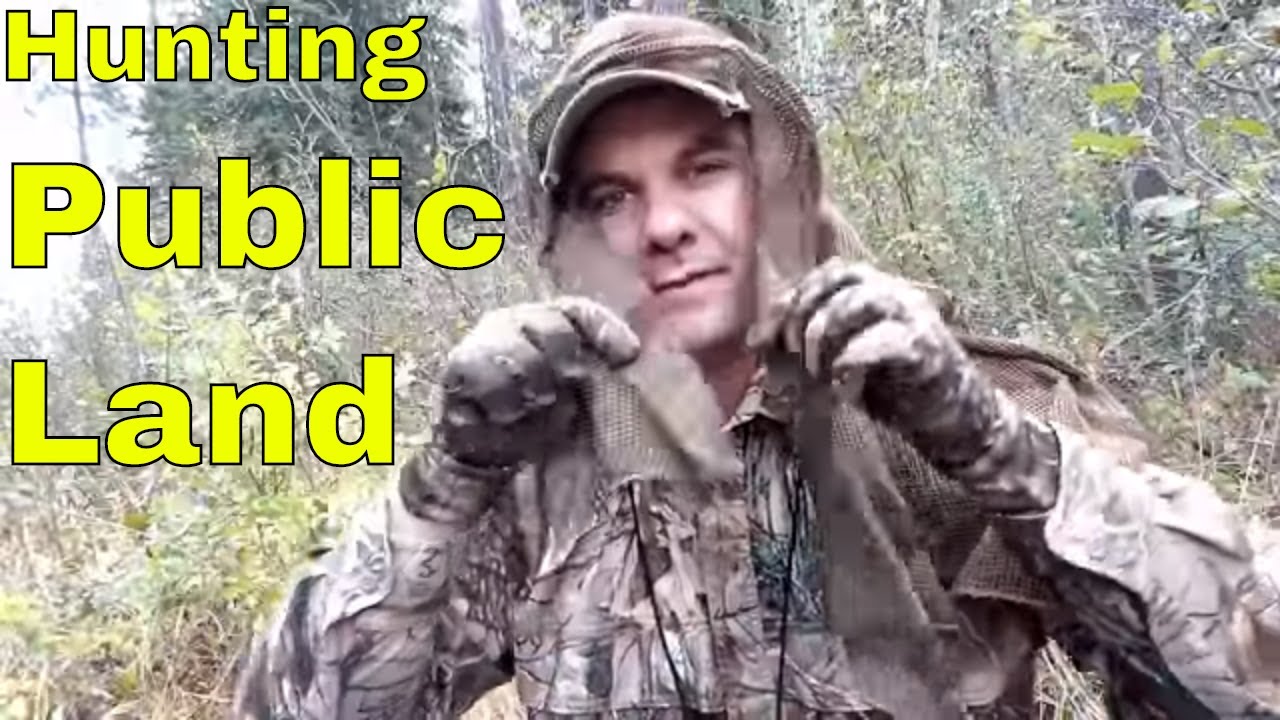 How to Hunt Deer on Public Land with no Scouting (Ground Hunting and ...