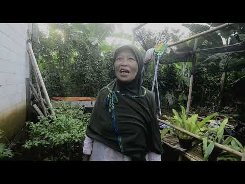 Sakit Perut Minta Diurut